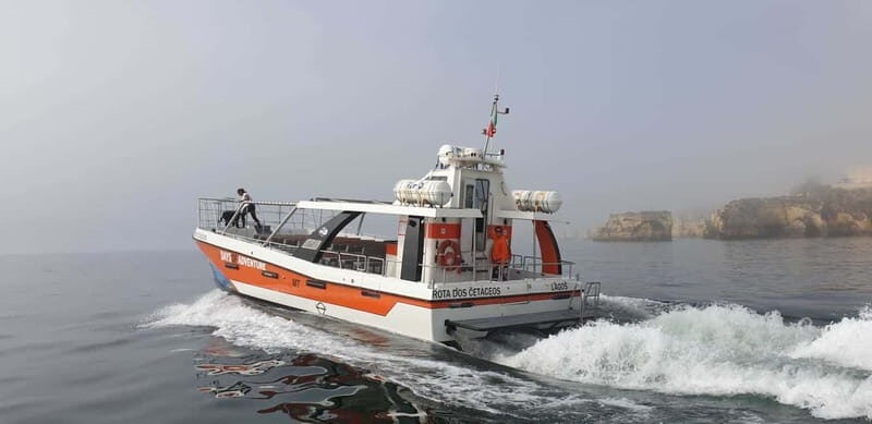 From Lagos: Benagil Caves Catamaran Cruise - The Sum Up: Who Will Love This Tour?