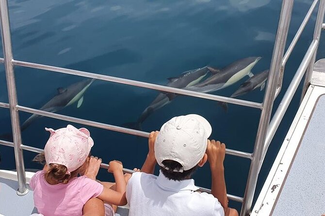 From Lagos: Dolphin Watching Cruise on a Catamaran - Key Points