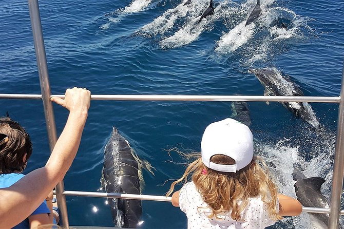 From Lagos: Dolphin Watching Cruise on a Catamaran - Who Should Consider This Tour?