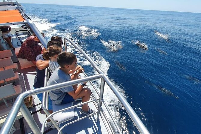 From Lagos: Dolphin Watching Cruise on a Catamaran - FAQ