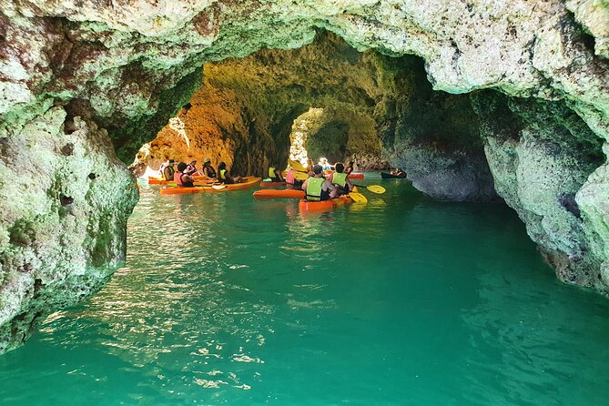 From Lagos: Kayak Tour of Ponta da Piedade Caves on Catamaran - Pricing and Value