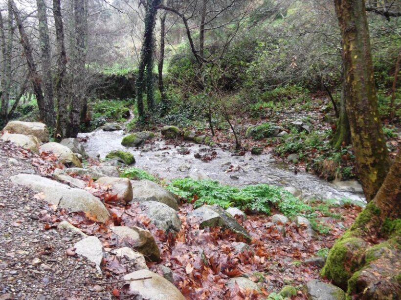 From Lagos: Monchique Private Guided Hike + Medronho Tasting - Authentic Experiences that Leave a Lasting Impression