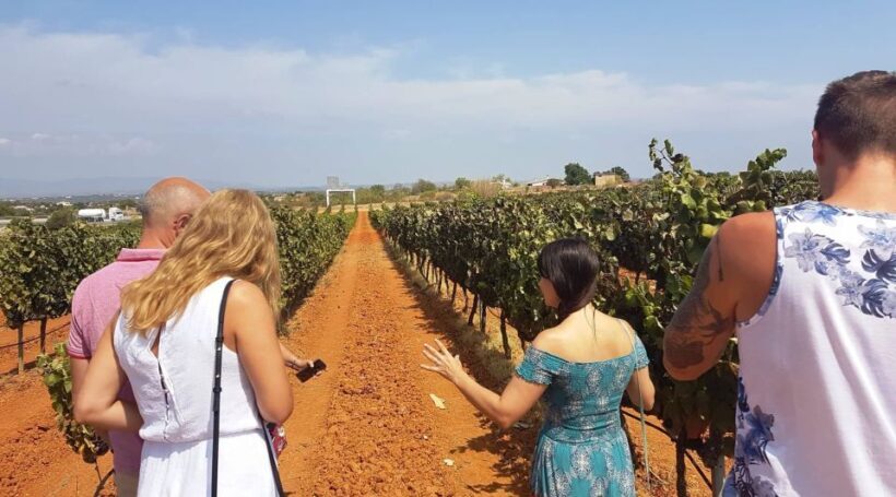 From Lagos: Private Algarve Wineries Tour with Tastings - An In-Depth Look at the Algarve Wineries Tour