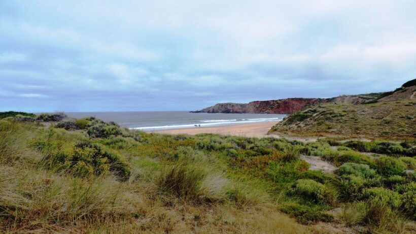From Lagos: Private Guided Hike along the Vicentina Coast - Practical Details and Tips