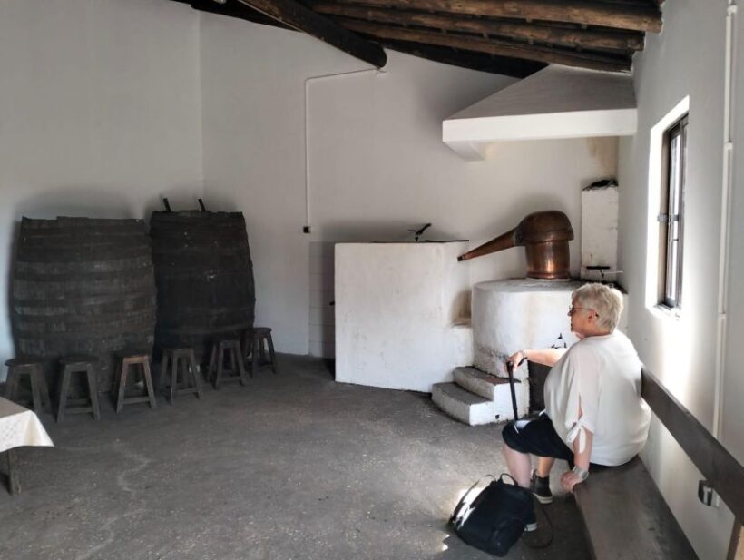 From Lagos: Private Tour with Medronho Tasting - Key Points