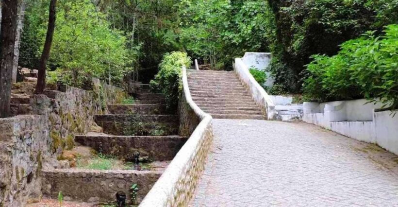 From Lagos: Private Tour with Medronho Tasting - Exploring Monchique: A Scenic Journey from Lagos