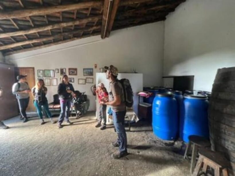 From Lagos: Private Tour with Medronho Tasting - A Relaxed Drive Back and Final Remarks