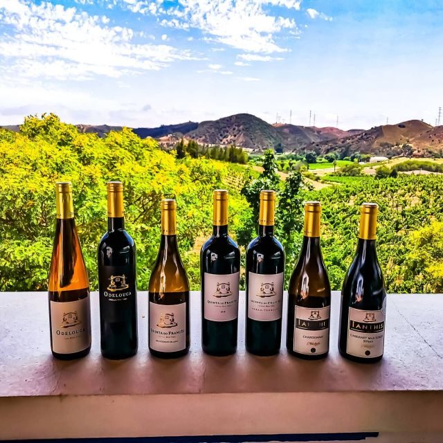 From Lagos: Small-Group 4-Hour Wine Tasting Tour - What You Can Expect from the Tour
