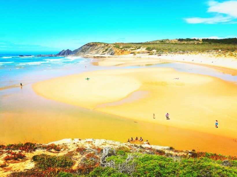From Lagos: Wild and Wonderful West Coast Full-Day Tour - Authentic Insights from Travelers