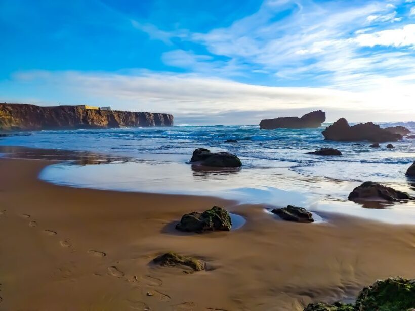 From Lagos: Wild and Wonderful West Coast Full-Day Tour - Practical Tips for Future Travelers
