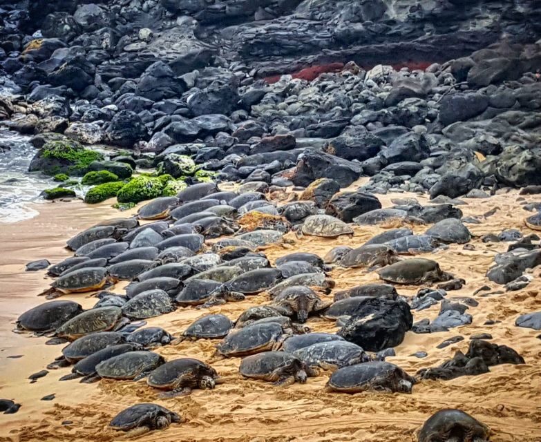 From Lahaina, Maui: Road to Hana Tour - The Itinerary: What to Expect on the Road to Hana