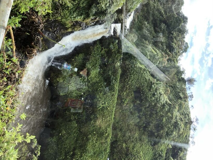 From Lahaina, Maui: Road to Hana Tour - Who Would Love This Tour?