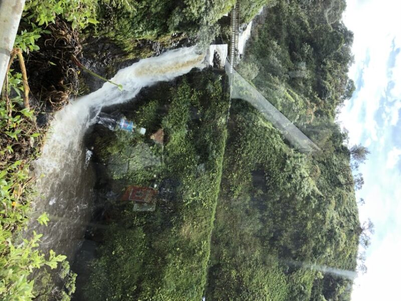 From Lahaina, Maui: Road to Hana Tour - Final Thoughts