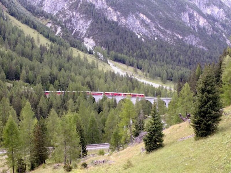 From Lake Como: Bernina Red Train Tour to St. Moritz - Customer Reviews