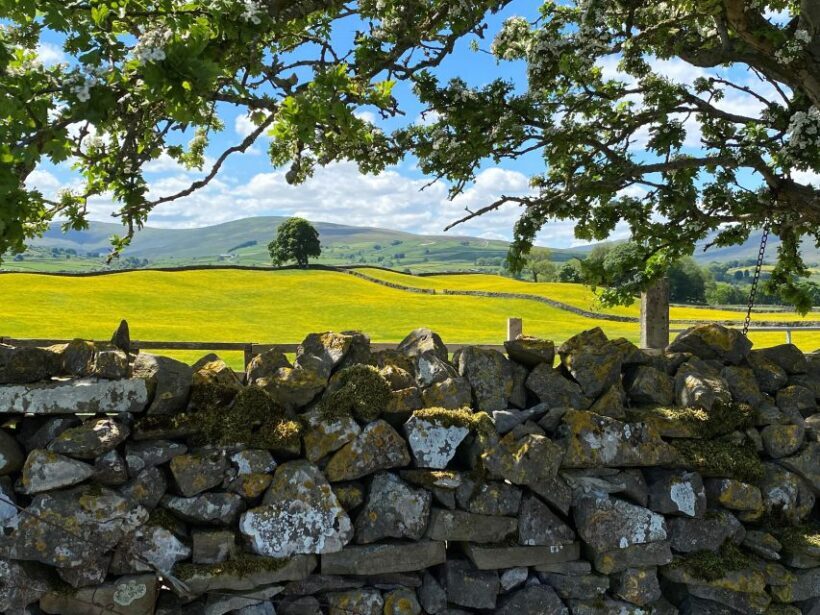 From Lake District: Full-Day Yorkshire Dales Tour - A Closer Look at the Itinerary