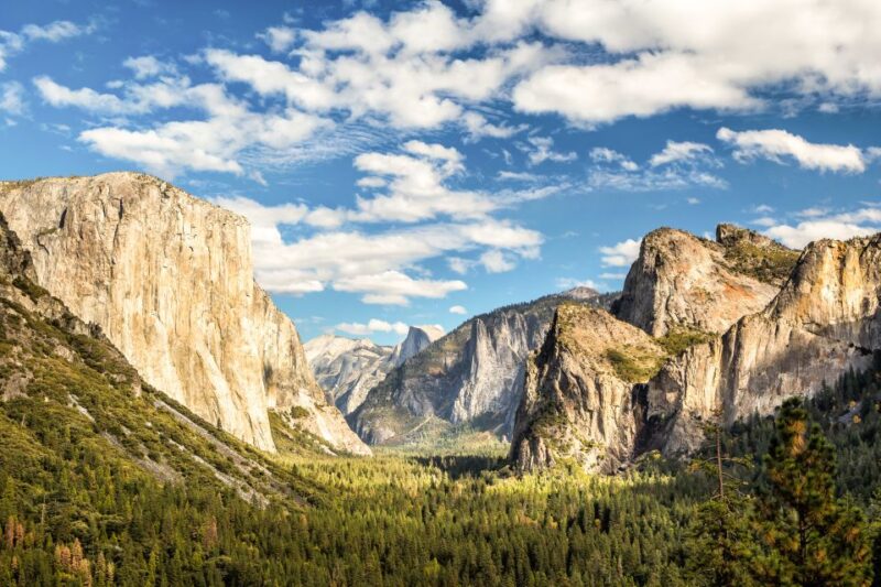 From Lake Tahoe: Yosemite National Park Day Trip with Lunch - Price and Value Analysis