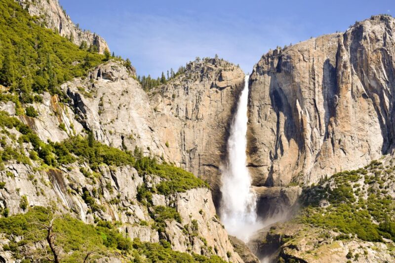 From Lake Tahoe: Yosemite National Park Day Trip with Lunch - Who Will Love This Tour?