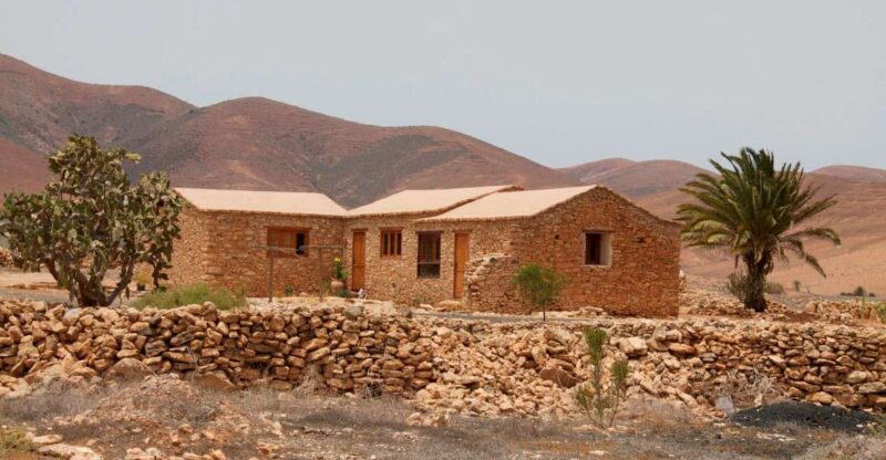 From Lanzarote: Fuerteventura Day Trip - Key Points