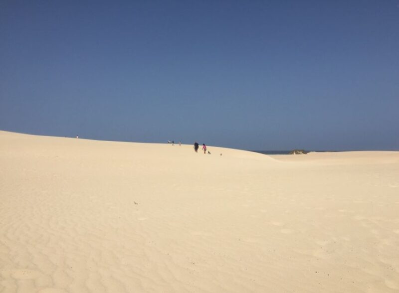 From Lanzarote: Fuerteventura Day Trip - Who Will Love This Tour?