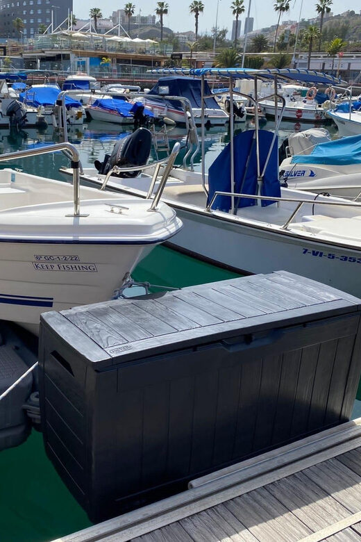 From las Palmas : Day sailing experience along the coast - Authenticity and Authentic Experiences