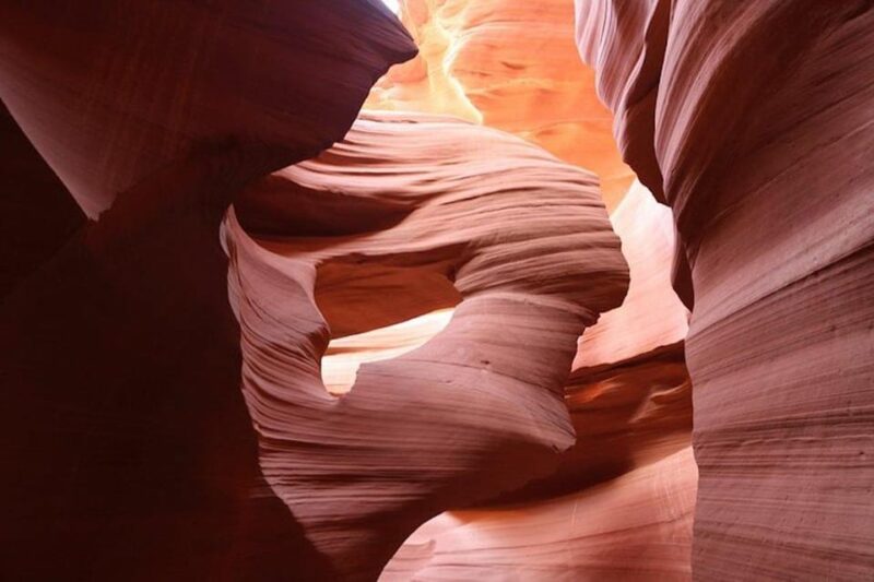 From Las Vegas: Antelope Canyon and Horseshoe Bend Day Trip - Who Will Love This Tour?