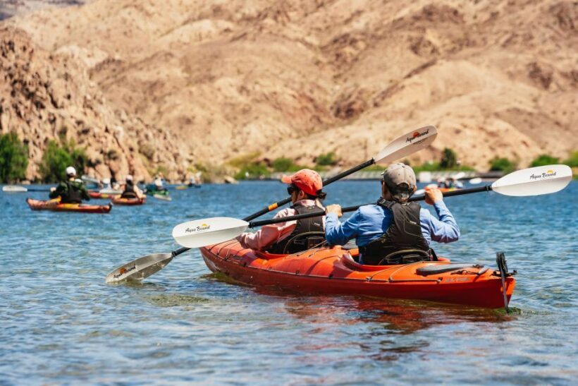 From Las Vegas: Black Canyon Half-Day Kayak Tour - An Overview of the Experience