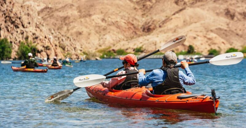 From Las Vegas: Black Canyon Half-Day Kayak Tour - Authenticity and Reviews: What Others Say