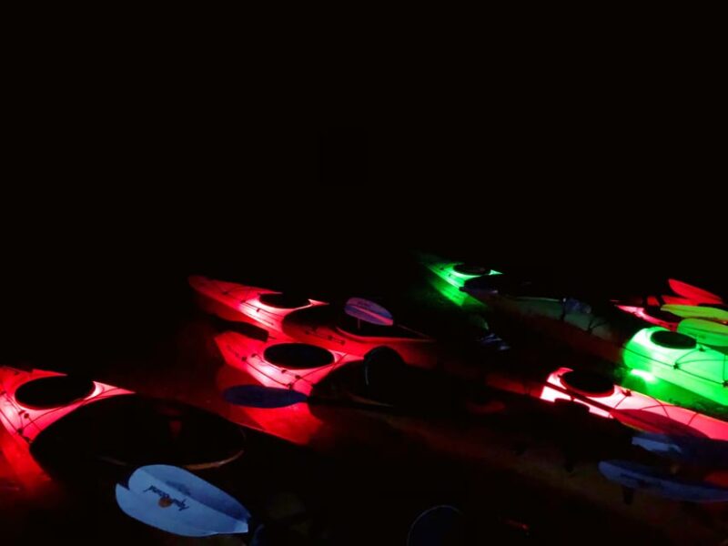 From Las Vegas: Black Canyon Twilight Kayak Tour - What Makes This Tour Stand Out?