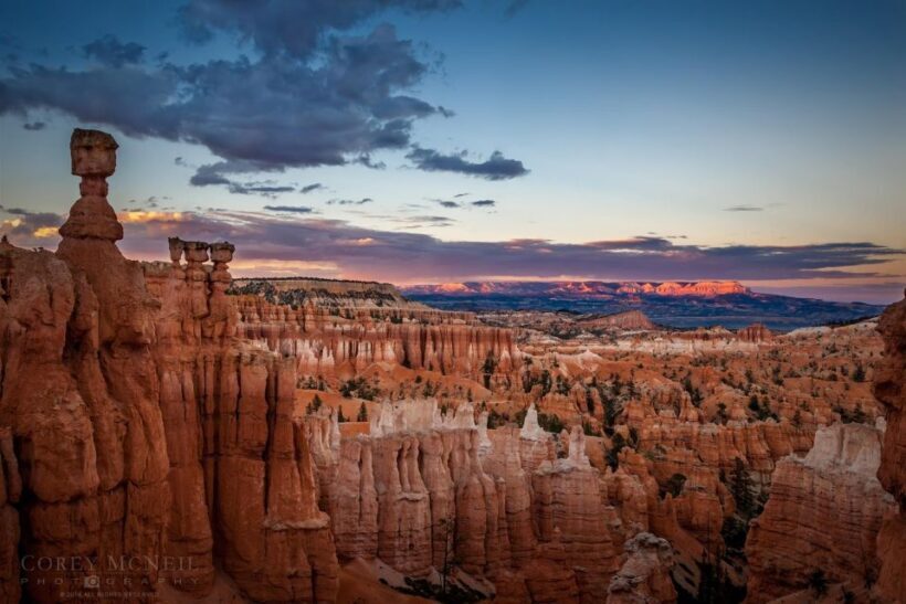 From Las Vegas: Bryce Canyon & Zion National Park Day Trip - An Honest Look at the Experience