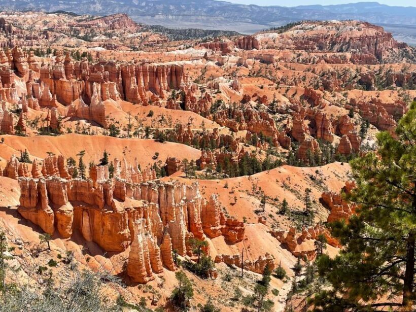 From Las Vegas: Bryce Canyon & Zion National Park Day Trip - The Sum Up