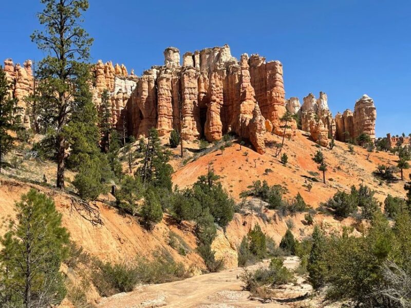 From Las Vegas: Bryce Canyon & Zion National Park Day Trip - Who Should Consider This Tour?