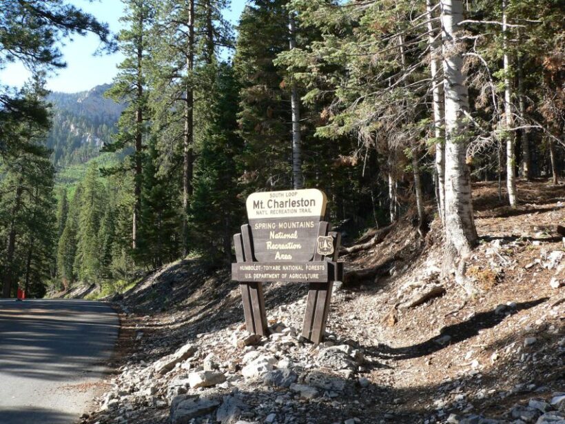 From Las Vegas: Day Trip to Mount Charleston Resort - Key Points