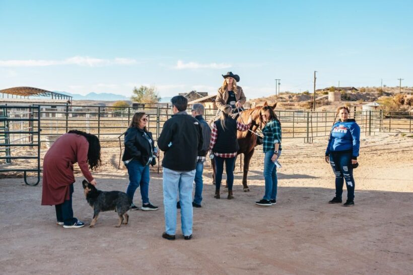 From Las Vegas: Desert Sunset Horseback Ride with BBQ Dinner - A Look at the Itinerary and Experience