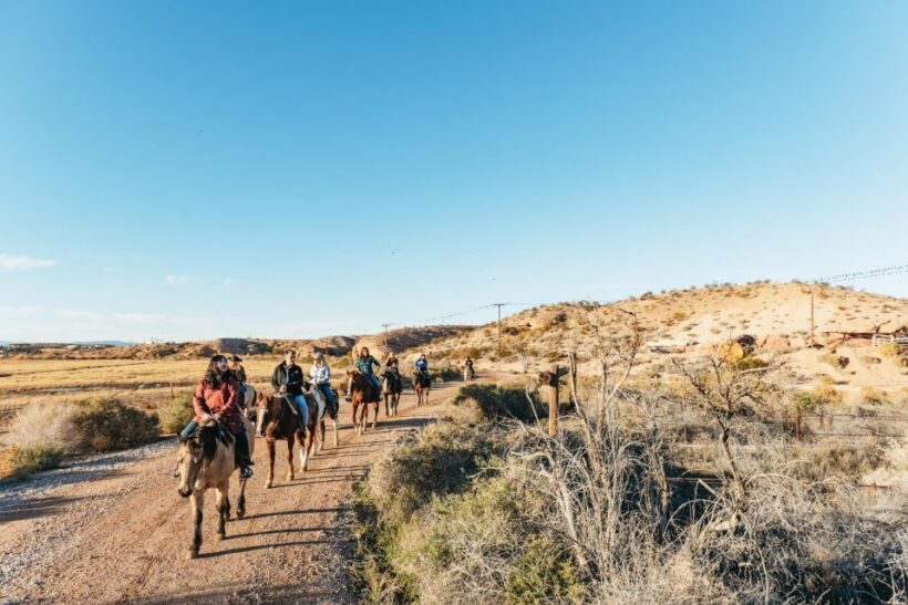 From Las Vegas: Desert Sunset Horseback Ride with BBQ Dinner - Who Will Love This Tour?