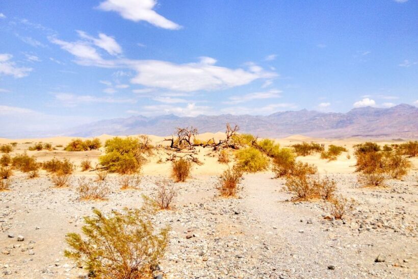 From Las Vegas: Ghost Town Wild West Adventures Day Trip - Authentic Experiences and Guest Feedback