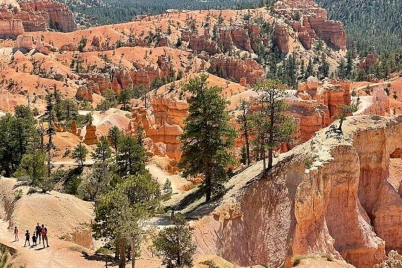 From Las Vegas: Private Tour to Zion National Park - Key Points