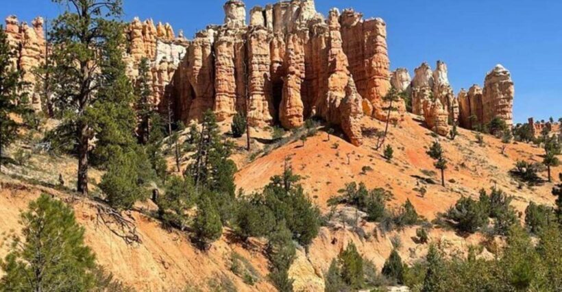 From Las Vegas: Private Tour to Zion National Park - The Experience of a Private Tour