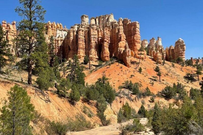 From Las Vegas: Private Tour to Zion National Park - Cost & Value Analysis