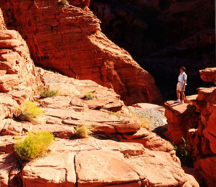 From Las Vegas: Valley of Fire Tour - A Glimpse Into a Unique Nevada Adventure