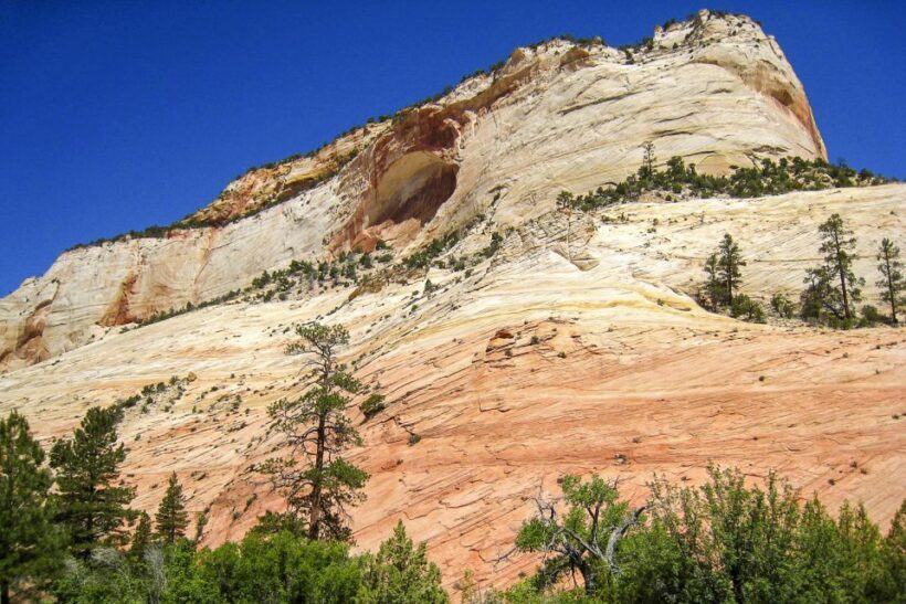From Las Vegas: VIP Small-Group Zion National Park Adventure - Key Points