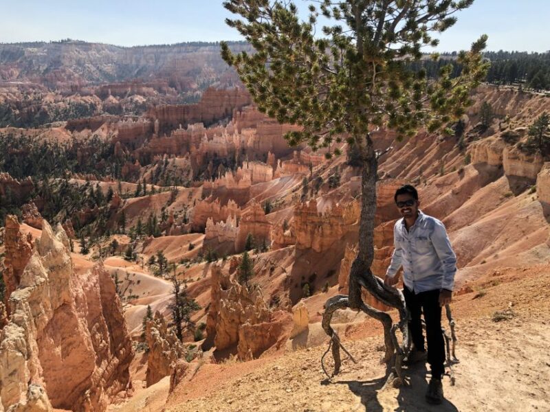 From Las Vegas: Zion and Bryce Canyon Day Trip with Pickup - Key Points
