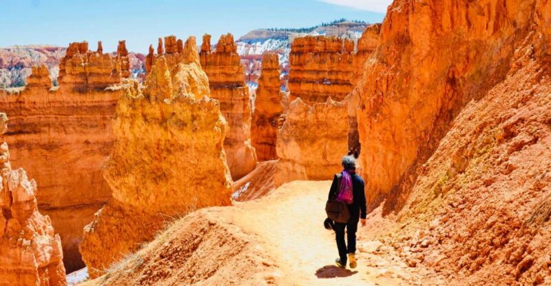 From Las Vegas: Zion and Bryce Canyon Day Trip with Pickup - Value and Cost Analysis