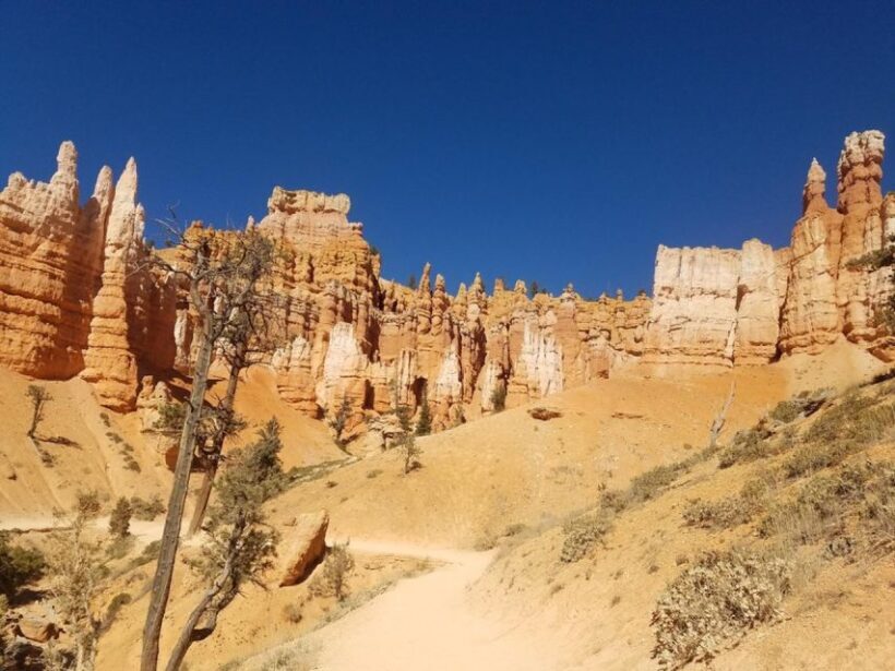 From Las Vegas: Zion and Bryce Canyon Guided Day Tour - Discovering Utah’s Unique Landscape: What This Tour Offers