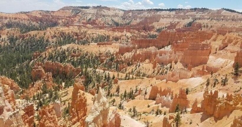 From Las Vegas: Zion and Bryce Canyon Guided Day Tour - Who Will Love This Tour?