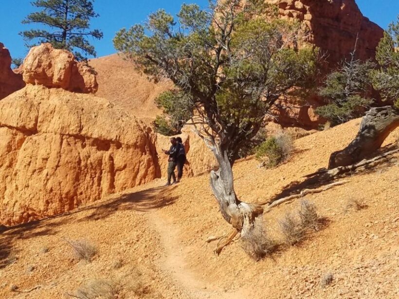 From Las Vegas: Zion and Bryce Canyon Guided Day Tour - The Sum Up