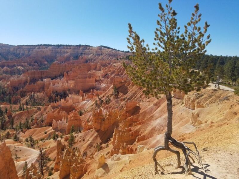 From Las Vegas: Zion and Bryce Canyon Guided Day Tour - The Value of This Tour