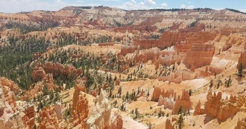 From Las Vegas: Zion and Bryce Canyon Guided Day Tour - The Sum Up