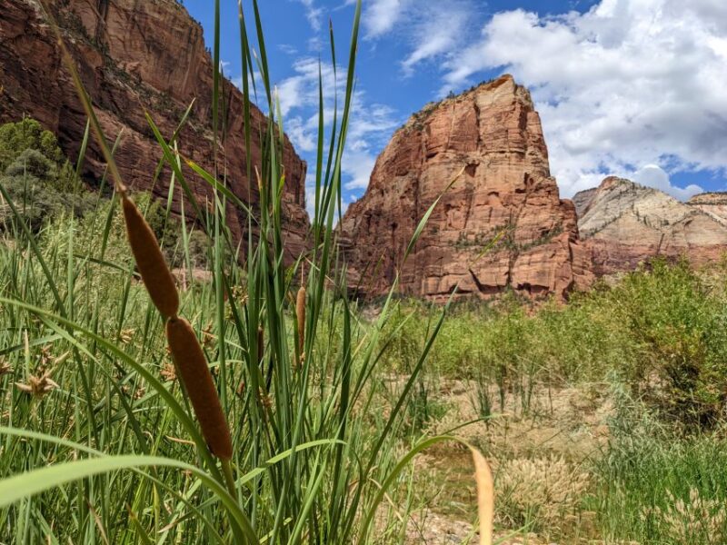 From Las Vegas: Zion National Park Small Group Adventure - Authentic Traveler Feedback