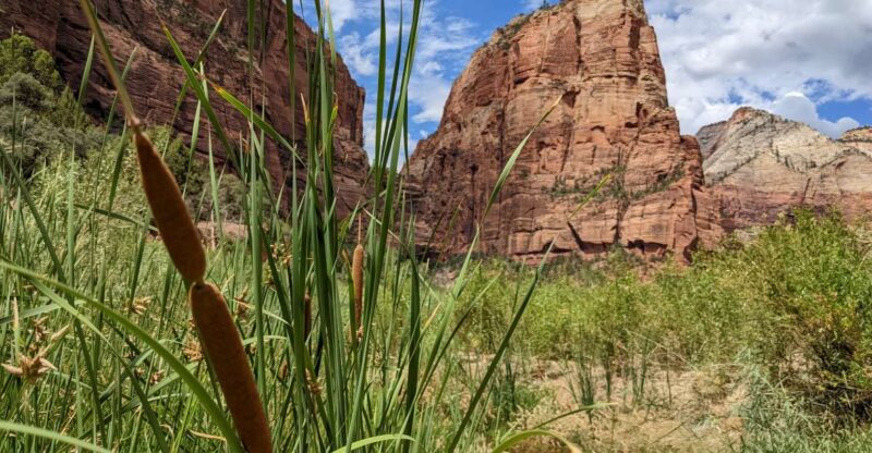 From Las Vegas: Zion National Park Small Group Adventure - Who Should Consider This Tour?