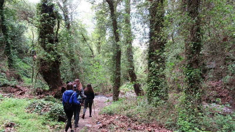From Lasithi: Richtis Gorge - A Dive into Crete’s Natural Beauty and Culture